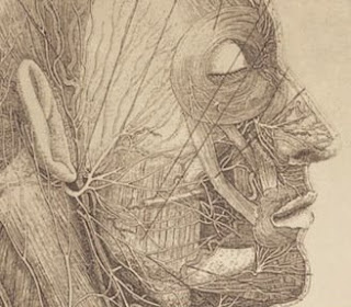 Edge of Evolution Interview - Michael Behe MP3 Audio - Apologetics 315