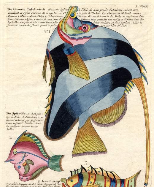 BOOKTRYST: Is This Rare Book The World's Oldest Fish Story?