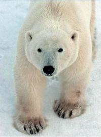 Personajes fotográficos: KIKE CALVO