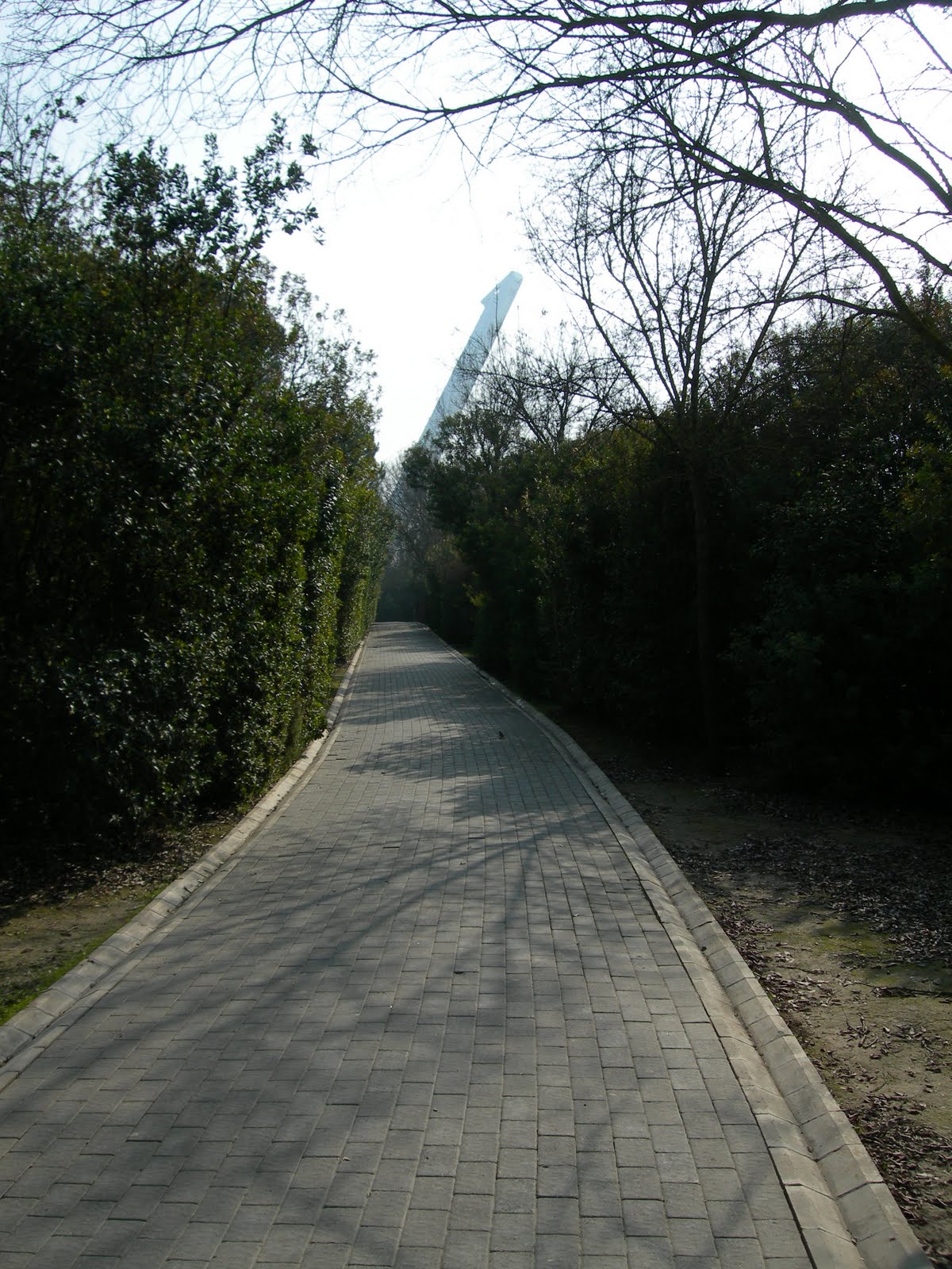 NATURALEZA VERDE DEL LEGOLAS: PARQUE DEL ALAMILLO SEVILLA