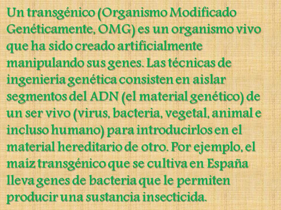 NATURALEZA VERDE DEL LEGOLAS: TRANSGENICOS ¿SON BUENOS?