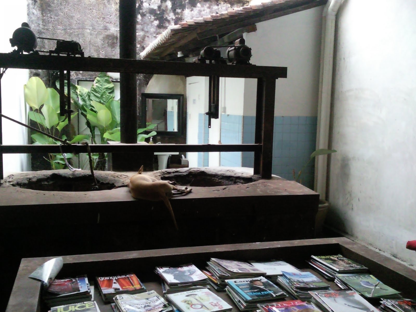 Precious Cooking Collection