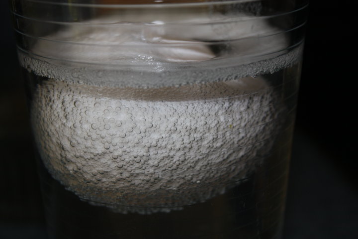 Science Wednesday - The Transparent Egg Experiment | Tots of Fun Crafts