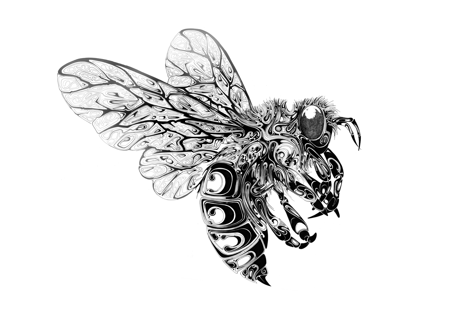 [under]exposed: Si Scott