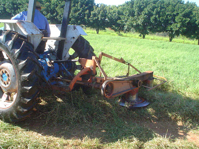 ESCOLA TÉCNICA AGROPECUÁRIA MUNICIPAL SÃO FRANCISCO DE ASSIS - COLINA ...