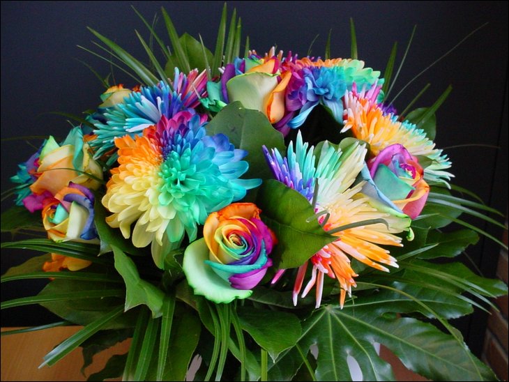 natural: Rainbow Roses: All Colors in One Rose
