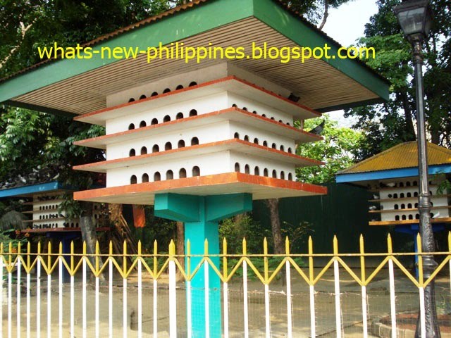 Luneta : Jose Rizal Park ~ What's New Philippines?
