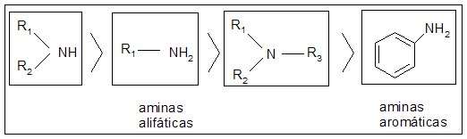 Química - Prof. Paulo Silva: AMINAS