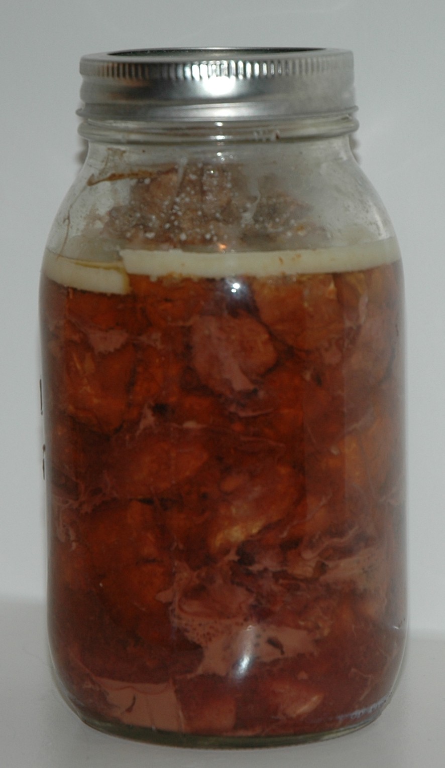 Prepared NOT Scared!: Ark Prep 101 - A Few Ideas for Food Storage in ...