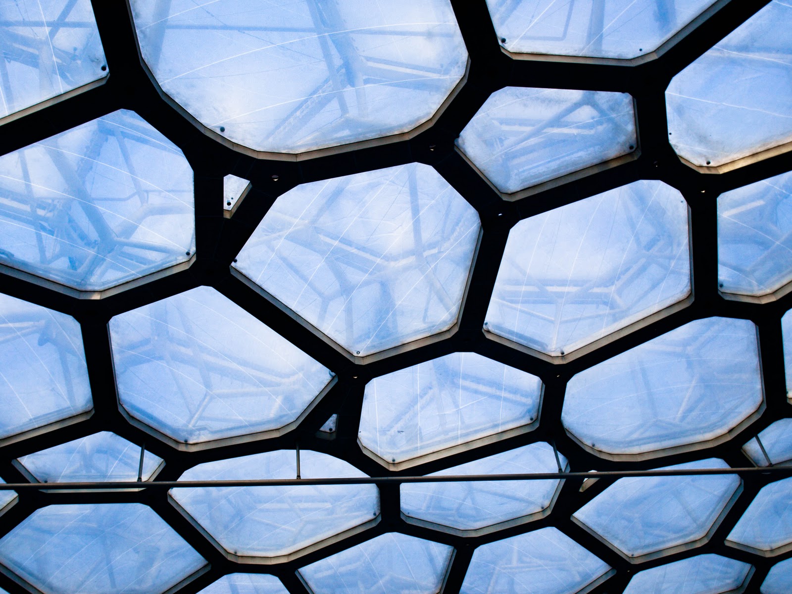 Love And Yellow Ladybugs: Inside a Water Cube