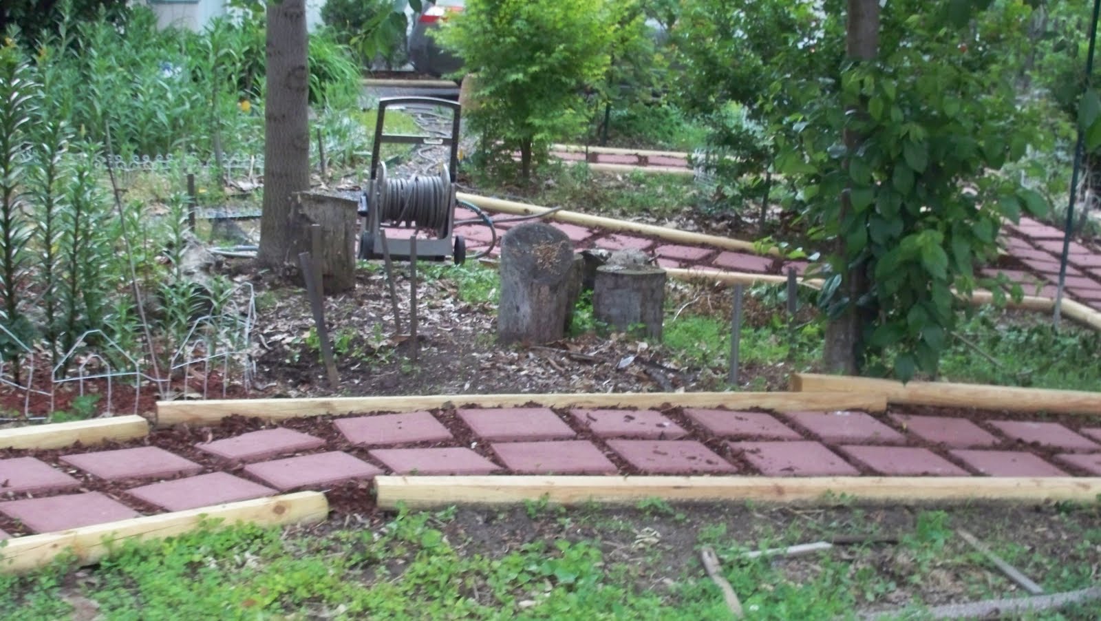 Casa Pena Designs: When bad landscaping happens to good people