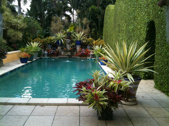 Blooms From the Garden: Blooms Make Florida Pool Landscaping Perfect