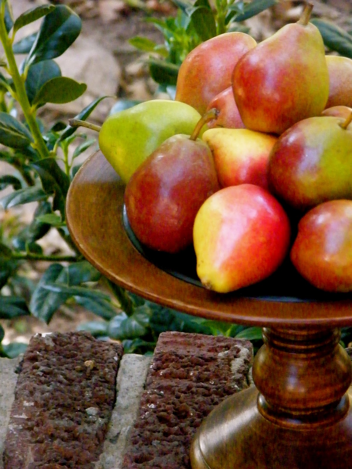 P O T A G E R: Seckel Pears