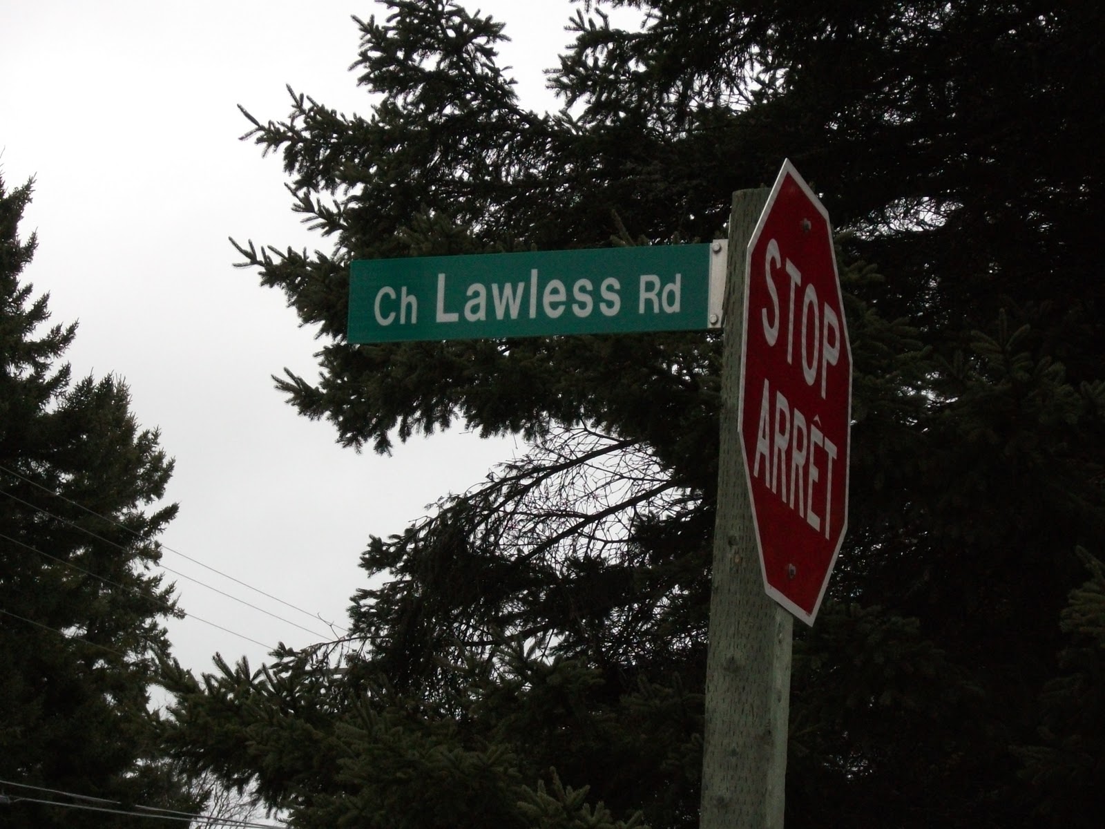 Whalen's Wanderings: Irony on the Lawless Road