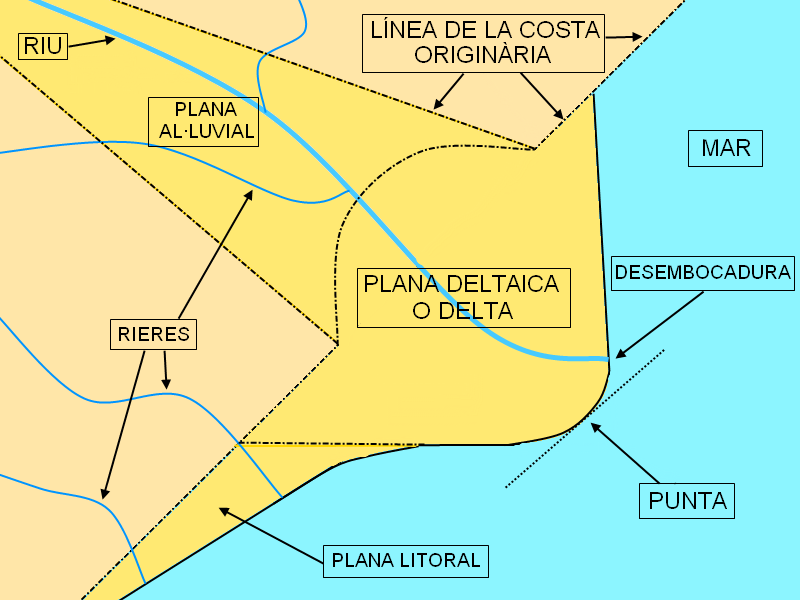 La Natura a la Baixa Tordera: DEFINICIONS BÀSIQUES I: Delta ...