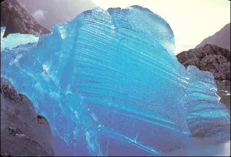 Alaska: Glacier Bay, Part 3