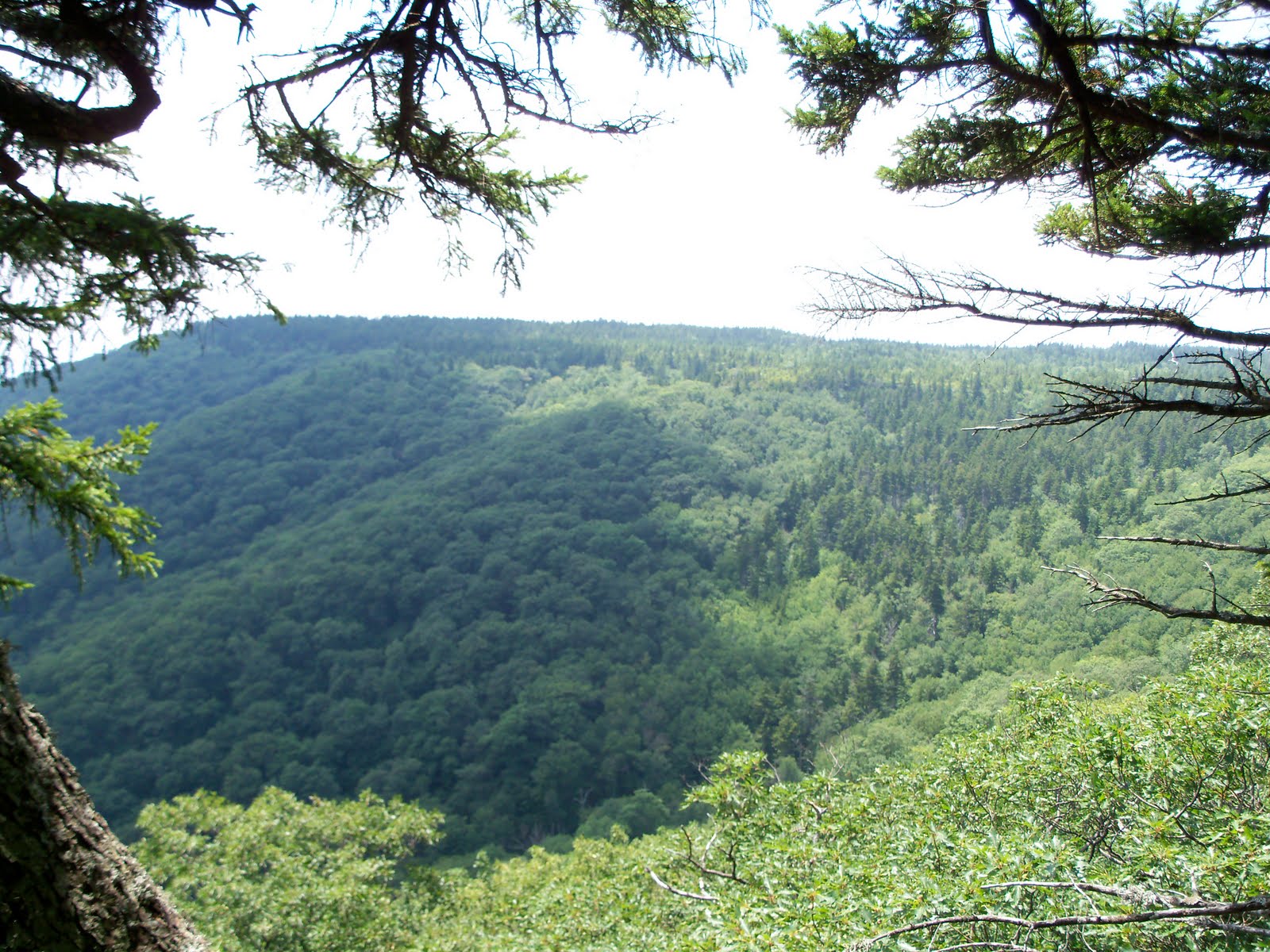 Hittin' the Hills with Country: Roaring Plains West Wilderness, July hike