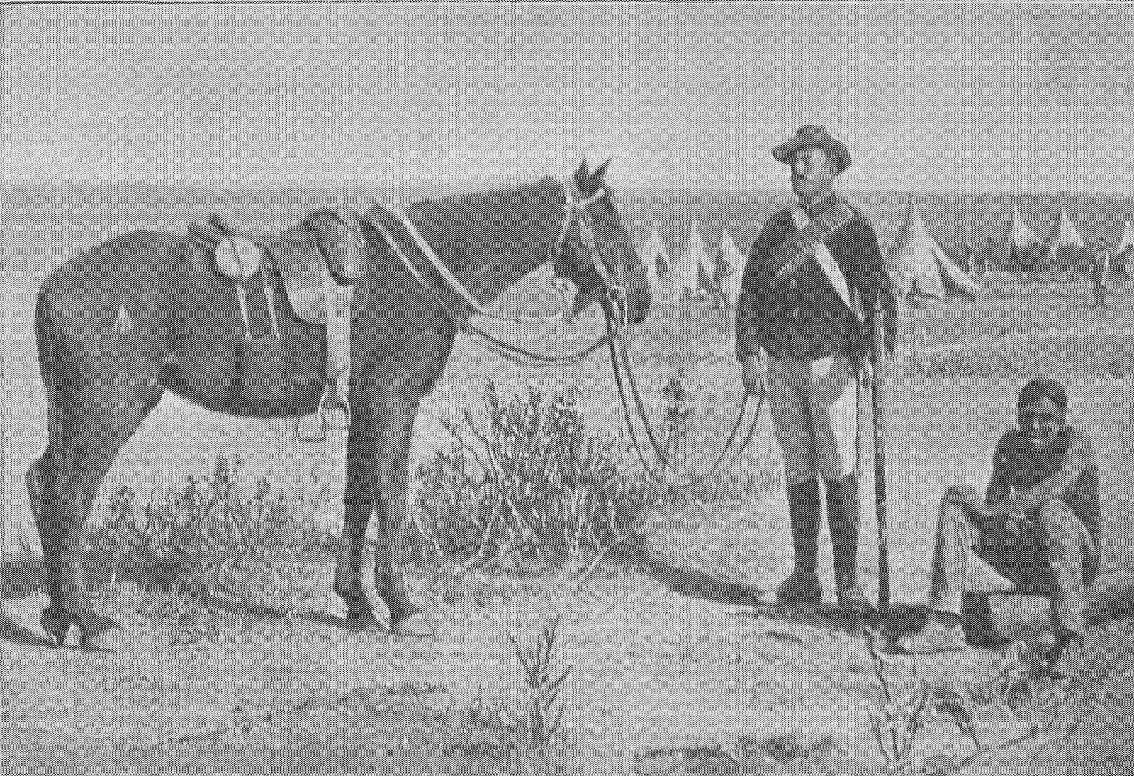 Tall Tales from the Trees: JOHN COOPER-CHADWICK (1864-1948) AND THE ...