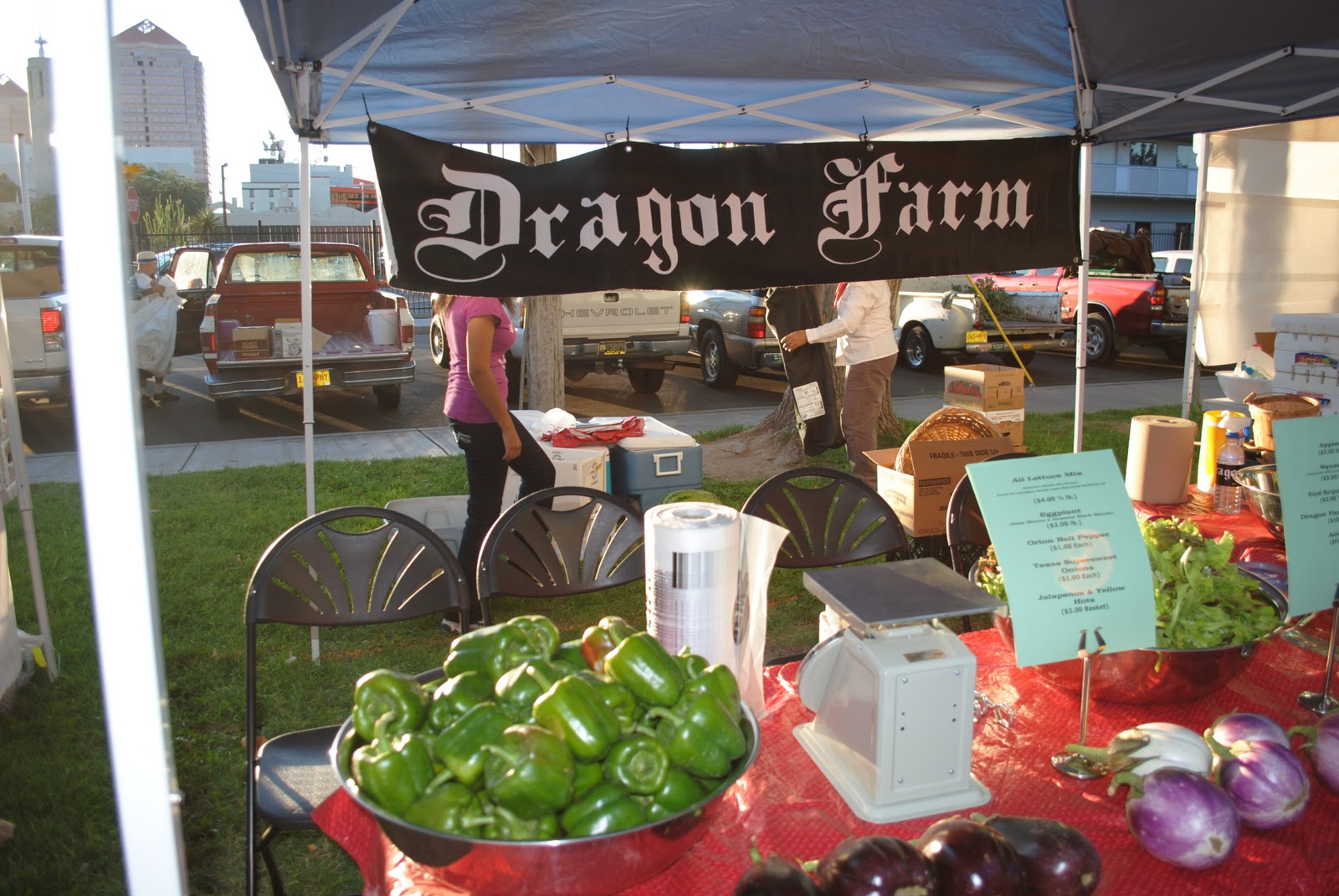 Youth Food Action Project: A Closer Look at the History of Dragon Farm ...