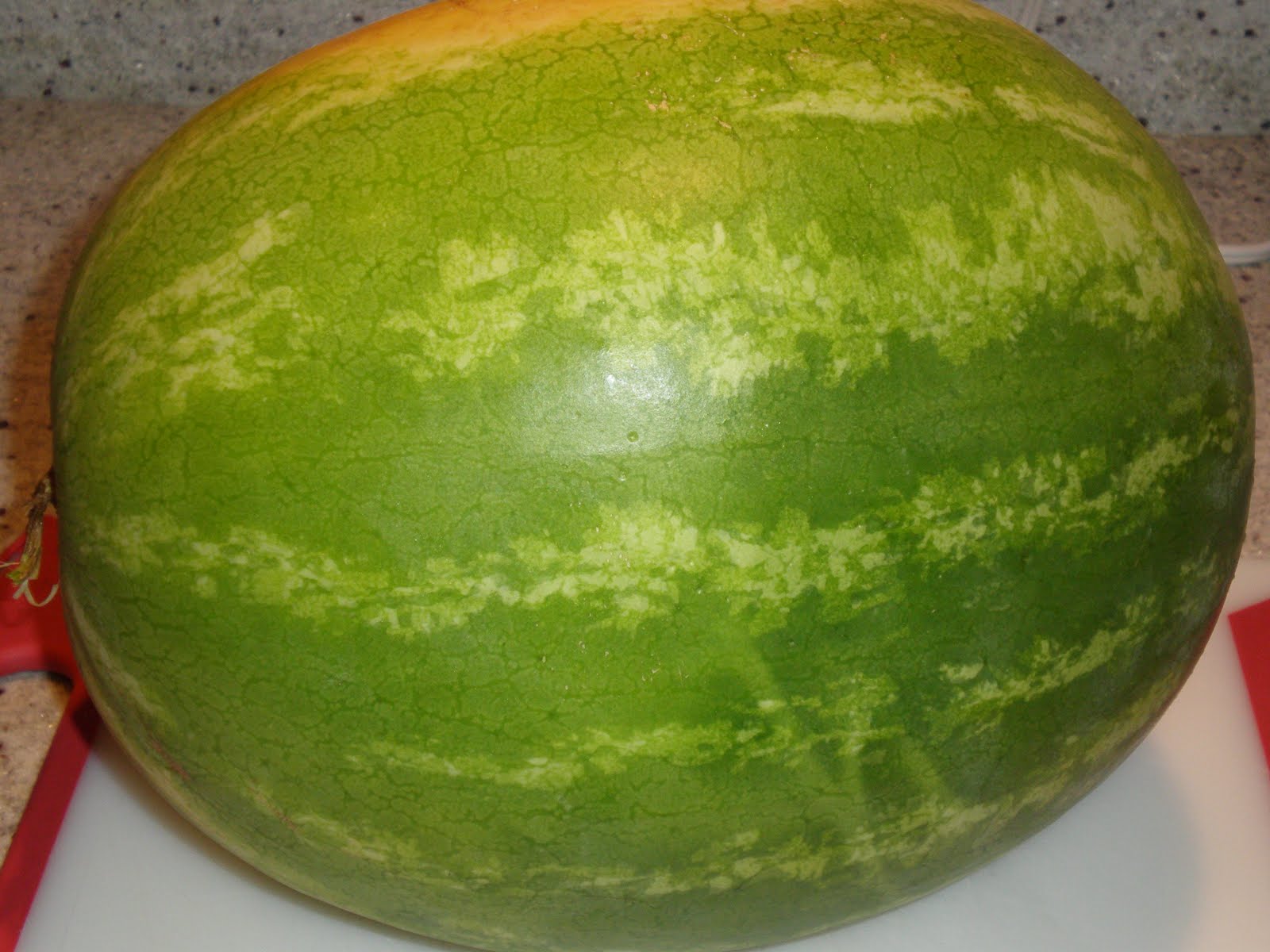 Healthy Little Appetites: Watermelon