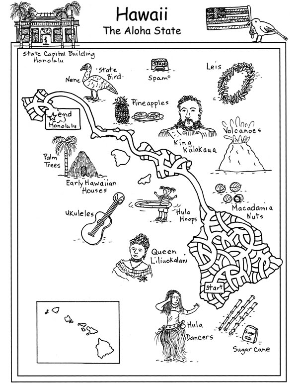 PATRIOTIC PURCHASE: HAWAII MAZE CRAZE