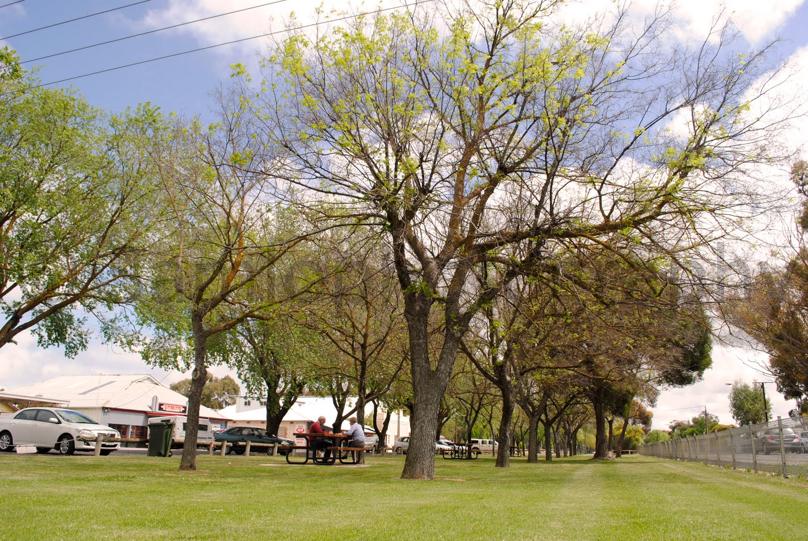 Sam Lo Photography: Keith, South Australia (2)