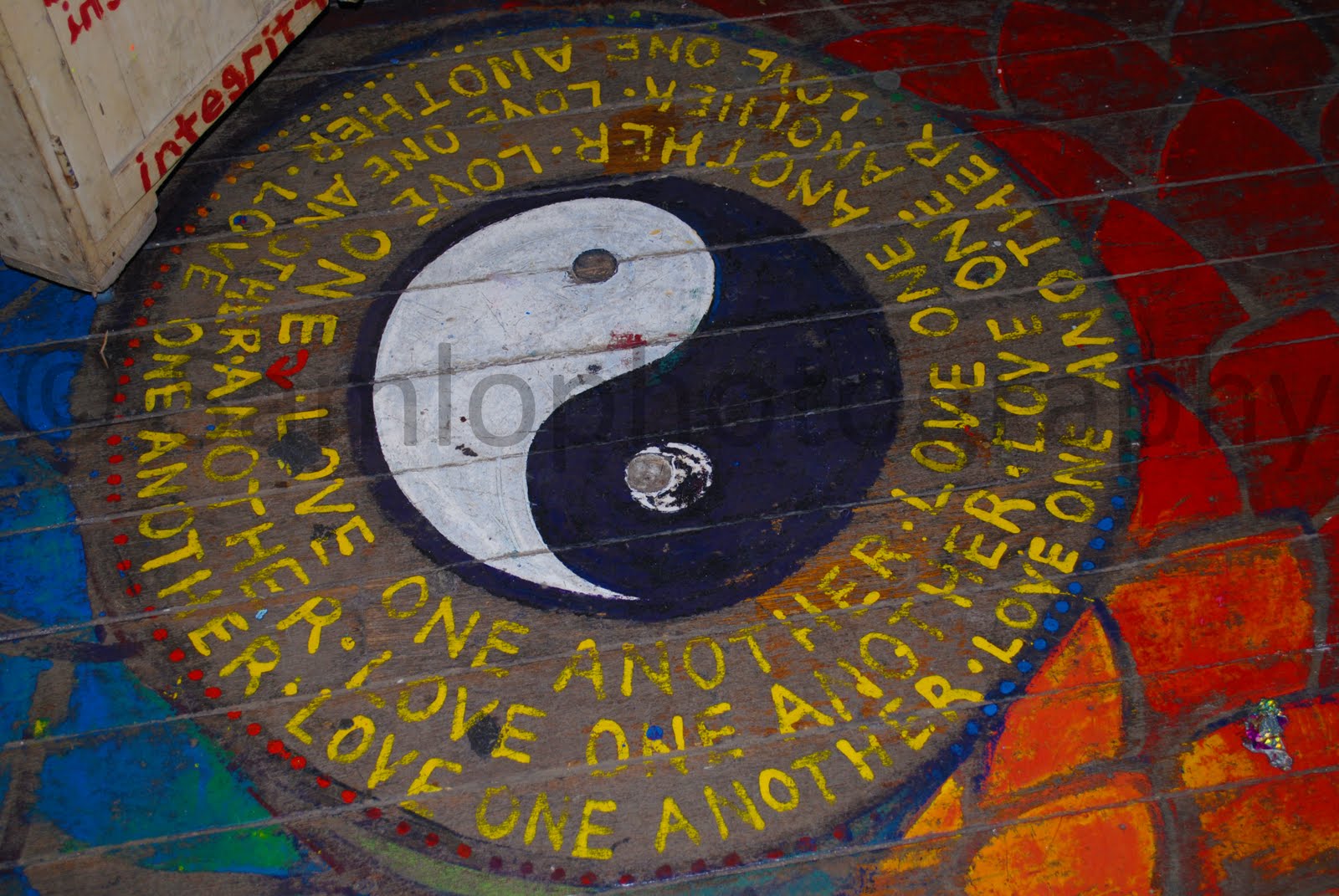 Sam Lo Photography: Nimbin New South Wales