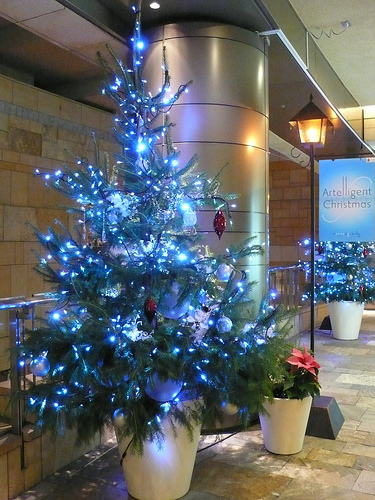 C.B.I.D. HOME DECOR and DESIGN: CHRISTMAS DECOR: COLORS OF CHRISTMAS ...