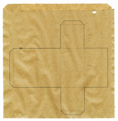 Brown Paper Bag: Brown Paper Bag with Box Net