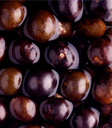 NYC MonaVie: Acai, One of Nature's Top Super Foods