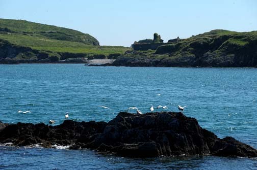 Celtic Memory Yarns: Roan Inish Rediscovered