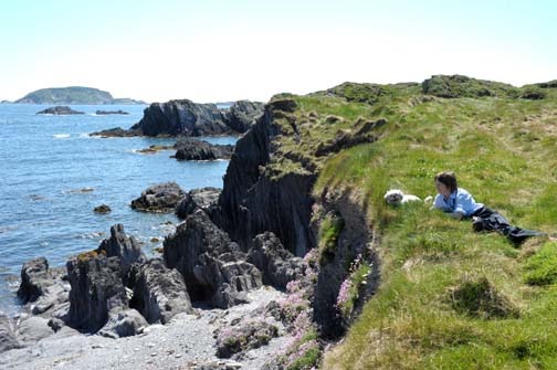 Celtic Memory Yarns: Roan Inish Rediscovered