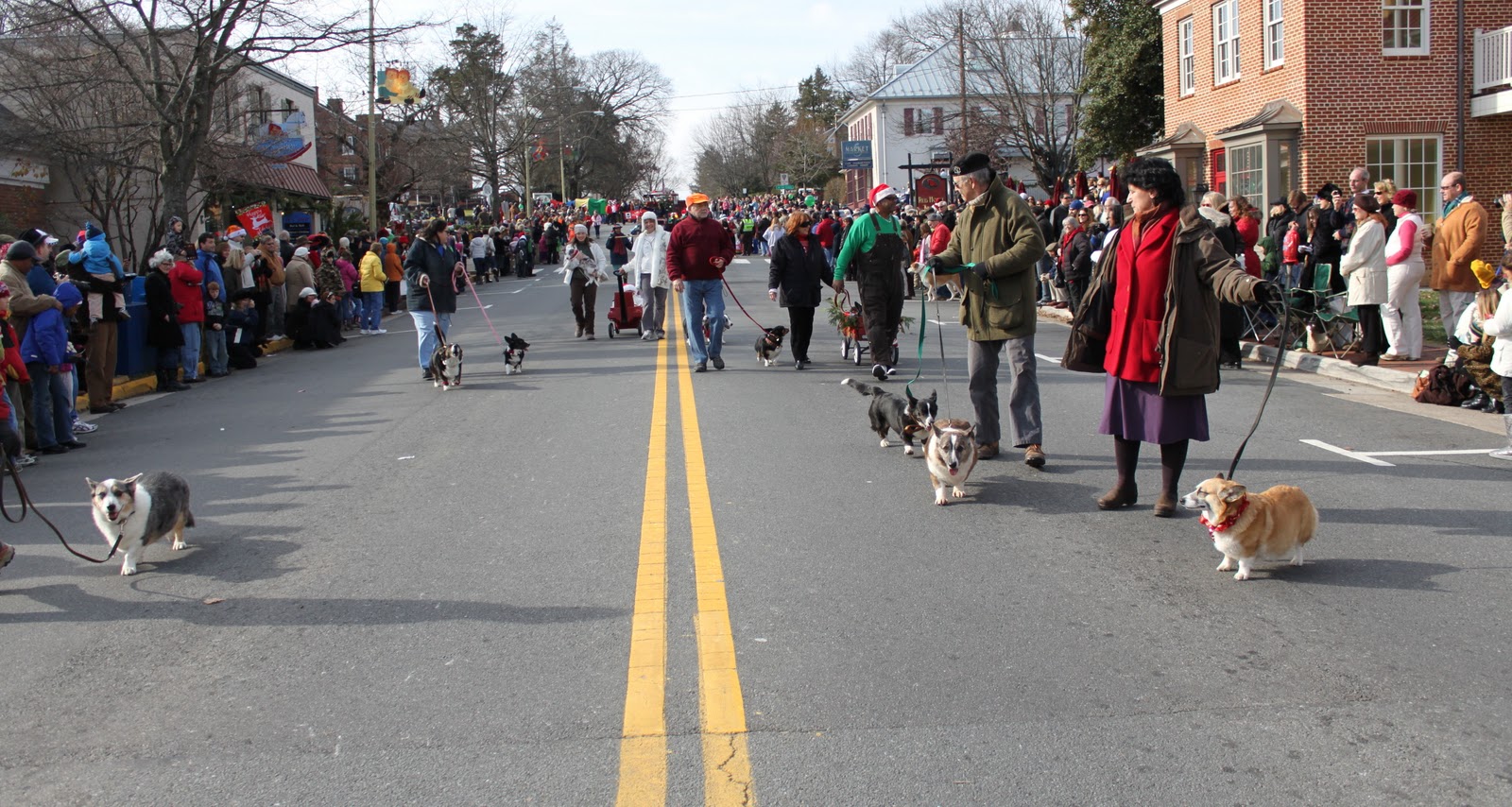 A Tail of Two Cardis: Middleburg Christmas Parade