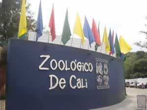 "INTRO AL CONOCIMIENTO": ZOOLOGICO DE CALI