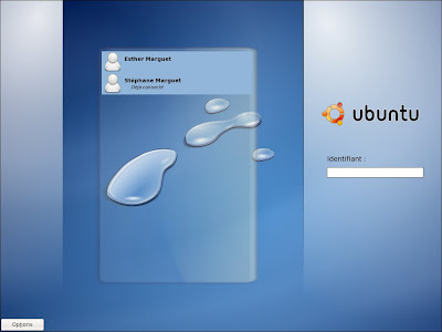 15 Beautiful Ubuntu GDM Themes | Tech Source
