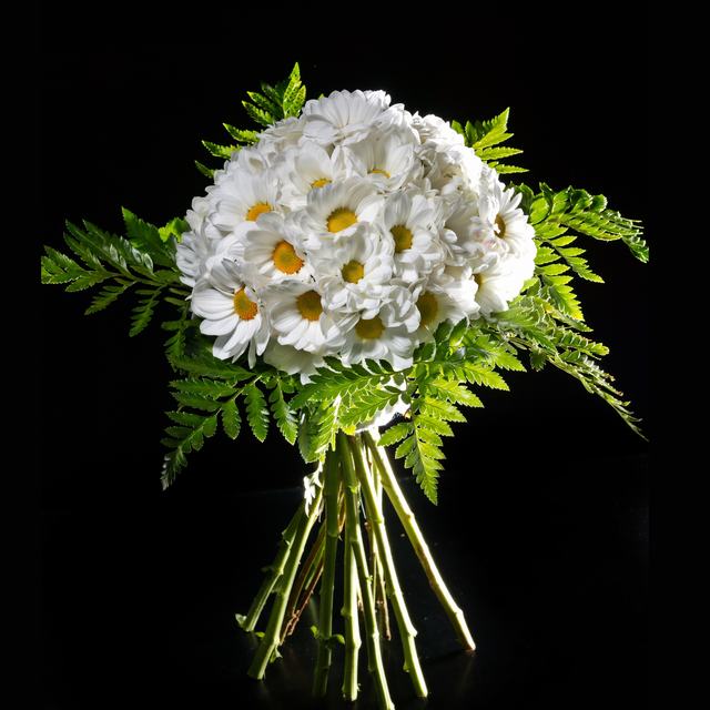 FLORISTERIA MARGARITA: BOUQUET DE MARGARITAS