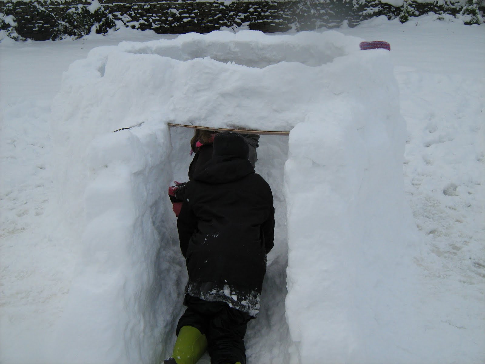 pheasants, frogs and banana bread: We made an igloo!!!!!
