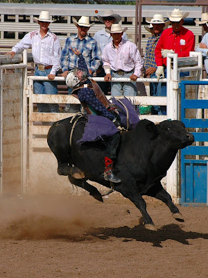 Molly Bowes: Fiesta Days Rodeo, Durango, Colorado