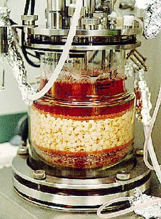 FERMENTATION TECHNOLOGY (teknologi penapaian): PROBLEMS OF CULTIVATION ...