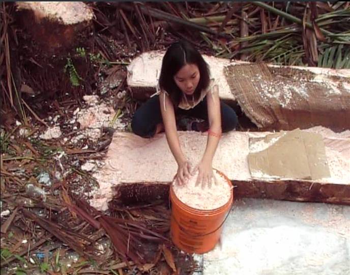 Palagsing: Butuanon Delicacy: Team Insights