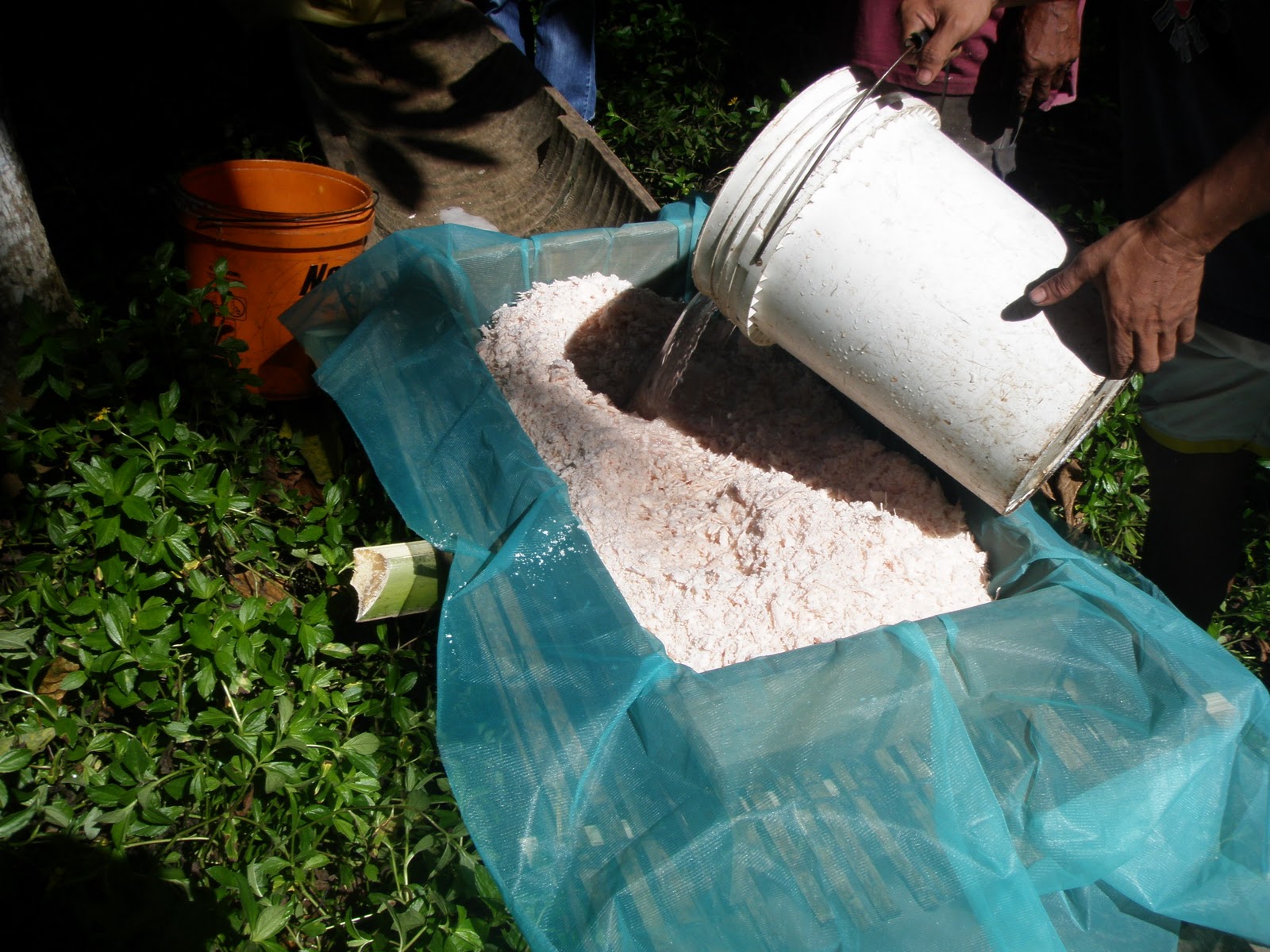 Palagsing: Butuanon Delicacy: Methodology