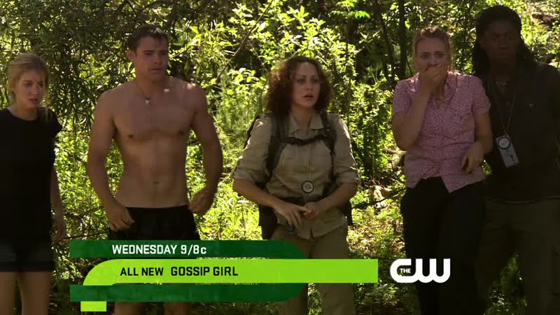 STARLIGHT STARBRIGHT: LIFE IS WILD