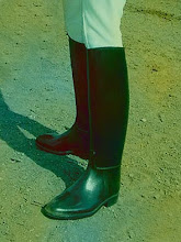 Ayesha's Saudade: Nanshakh's Story