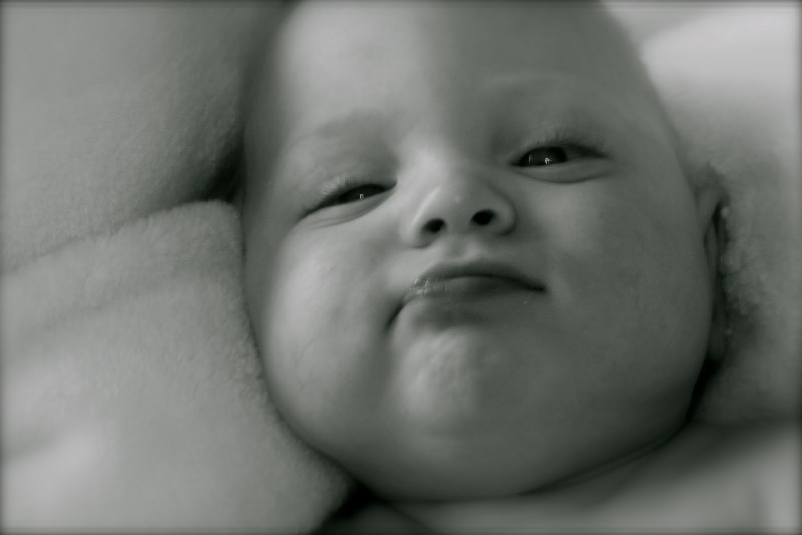 Bryce Alexander Moline: 5/23/10 - 5/30/10