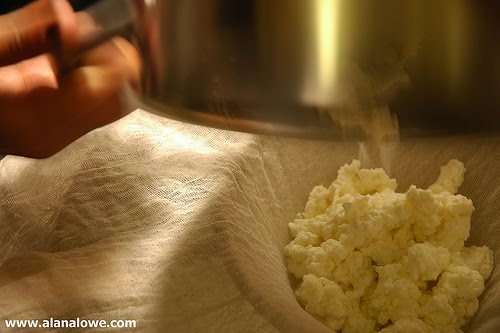 How To Make Paneer (Indian Cheese) - ABCD's of Cooking