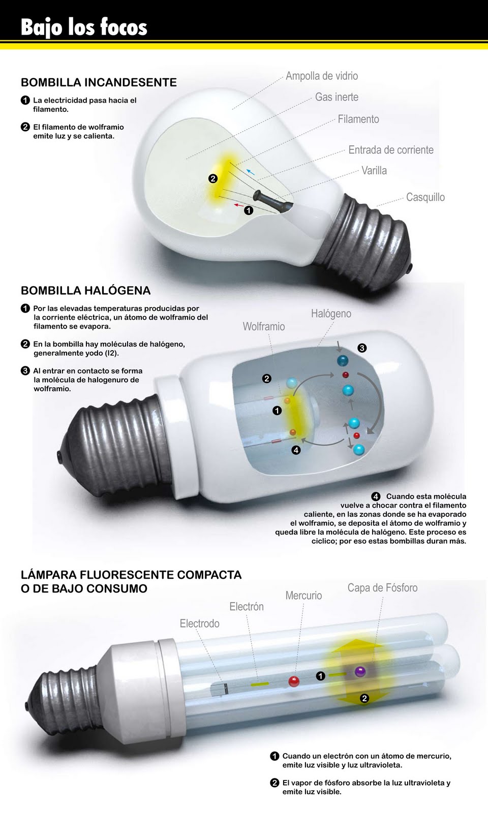 alexpolanco diseño grafico: INFOGRAFIA - bajo los focos