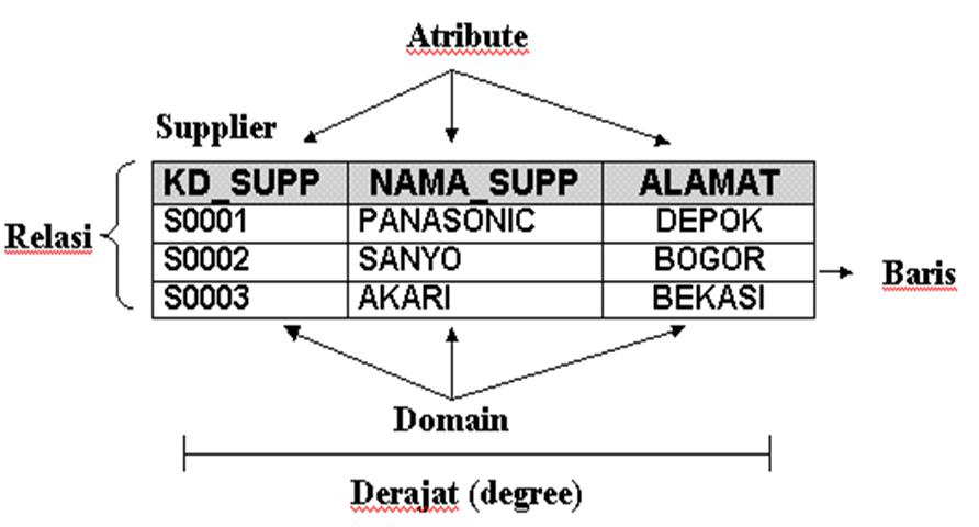 viyella jacqueline souissay: definisi dan contoh relasi,atribut,tupel ...