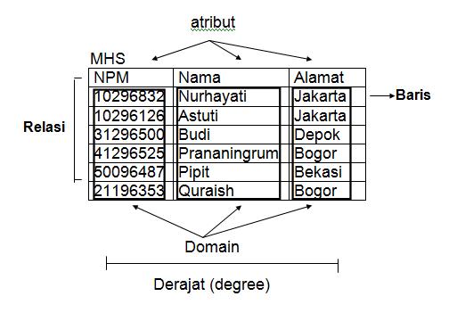 viyella jacqueline souissay: definisi dan contoh relasi,atribut,tupel ...