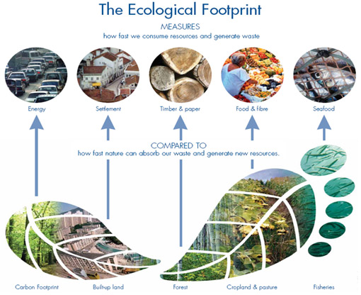 ΟΙΚΟΛΟΓΙΚΟ ΑΠΟΤΥΠΩΜΑ ecological footprint: Το οικολογικό αποτύπωμα.