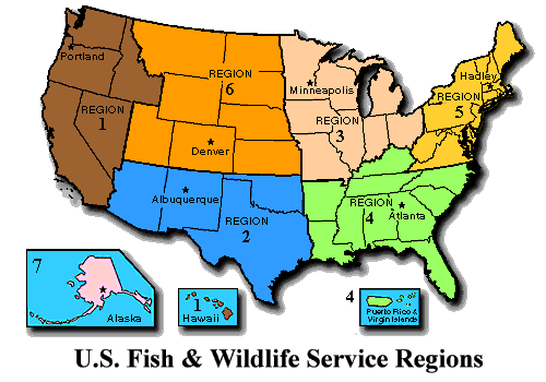 martin: January 2011